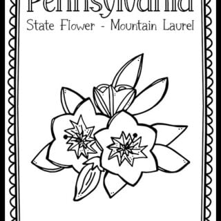 Pennsylvania Archives - The Art Kit