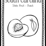 South Carolina Coloring Page (The 8th State!) {FREE Printable!} - The ...