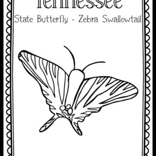 Tennessee Archives - The Art Kit