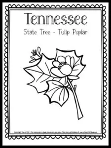 tennessee state tree tulip poplar coloring page the art kit - The Art Kit