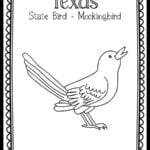 Texas Archives - The Art Kit