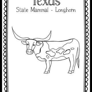 Texas Archives - The Art Kit