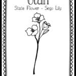 Utah Coloring Page (the 45th State!) {FREE Printable!} - The Art Kit