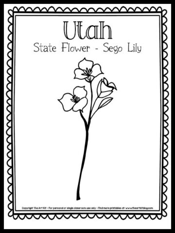 Utah State Flower Coloring Page (Sego Lily) {FREE Printable!} - The Art Kit