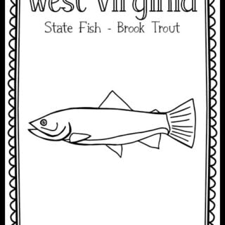 Trout Archives - The Art Kit