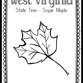 West Virginia Archives - The Art Kit