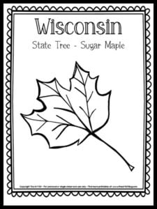 Wisconsin State Tree Coloring Page (Sugar Maple) {FREE Printable ...