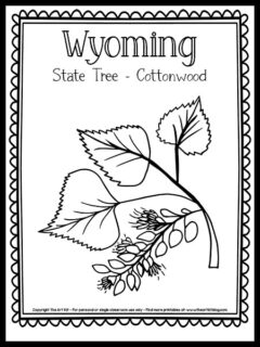 Wyoming State Tree Coloring Page (Cottonwood!) {FREE Printable!} - The ...