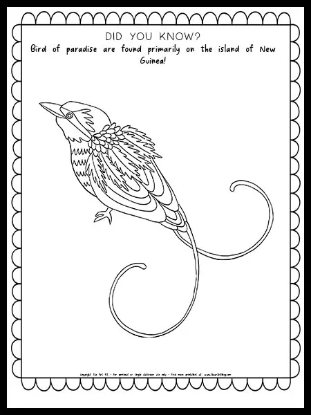 Free Birds Coloring Pages For Kids