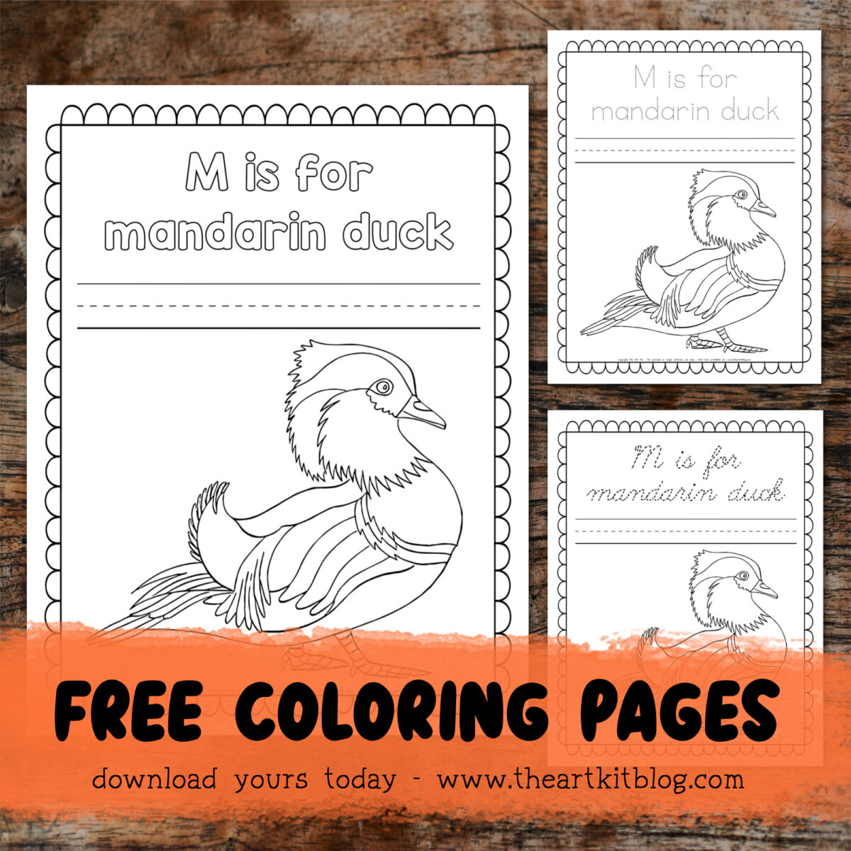 mandarin duck coloring pages the art kit - The Art Kit
