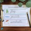 FREEBIE! Apple Word Tracing Cards PRINTABLE - The Art Kit