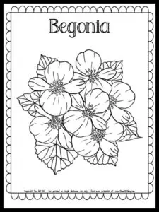begonia flower coloring page the art kit copy - The Art Kit