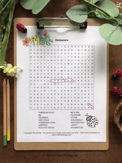 Delaware Word Search Coloring Page {FREE Printable Download!} - The Art Kit