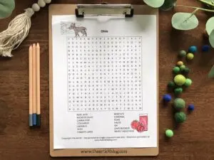 ohio state wordsearch coloring page printable 1 - The Art Kit
