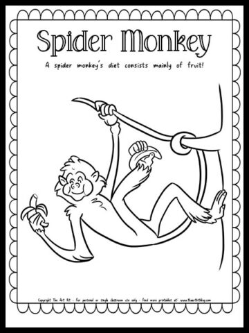 spider monkey fact coloring page the art kit copy - The Art Kit
