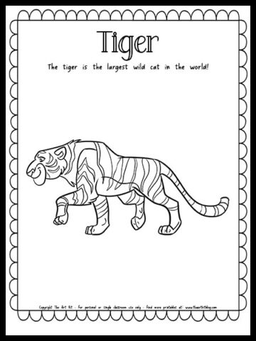 tiger fact coloring page the art kit copy - The Art Kit