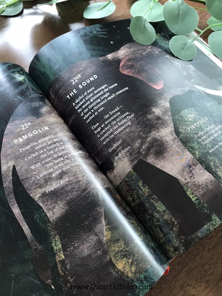 Tiger, Tiger, Burning Bright: Animal Poem Book Review! - The Art Kit