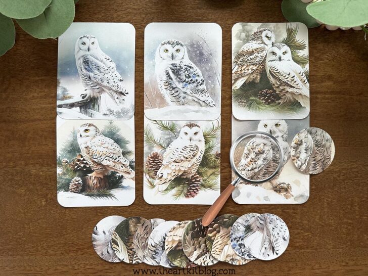 Snowy Owl Match Game {FREE PRINTABLE} - The Art Kit