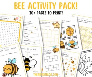 Bundles Archives - The Art Kit