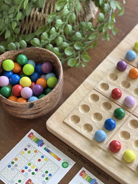 Colorku: The Color Sudoku Puzzle: Review - The Art Kit