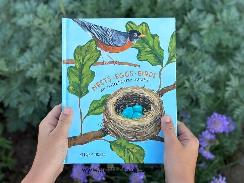 Nests, Eggs, Birds: An Illustrated Aviary - Book Review - The Art Kit