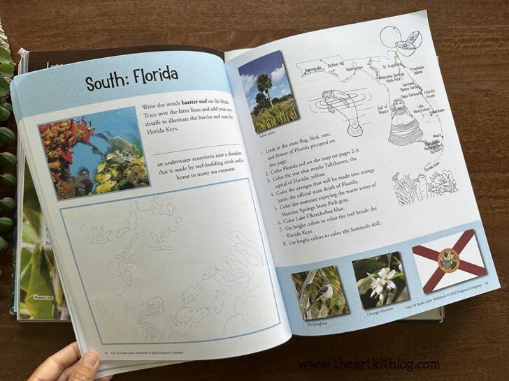Notgrass Our 50 States Book and Workbook Review - The Art Kit