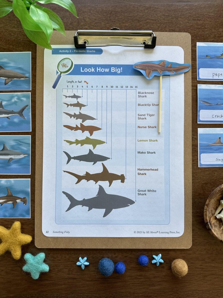 Something Fishy: A Reading and Spelling Review Book from All About ...