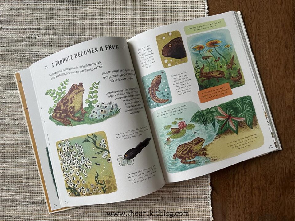 Nature Book for Kids: Review - The Art Kit