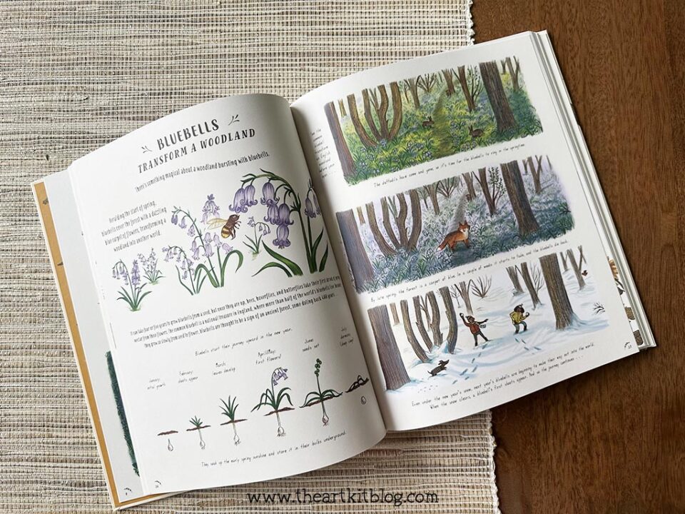 Nature Book for Kids: Review - The Art Kit