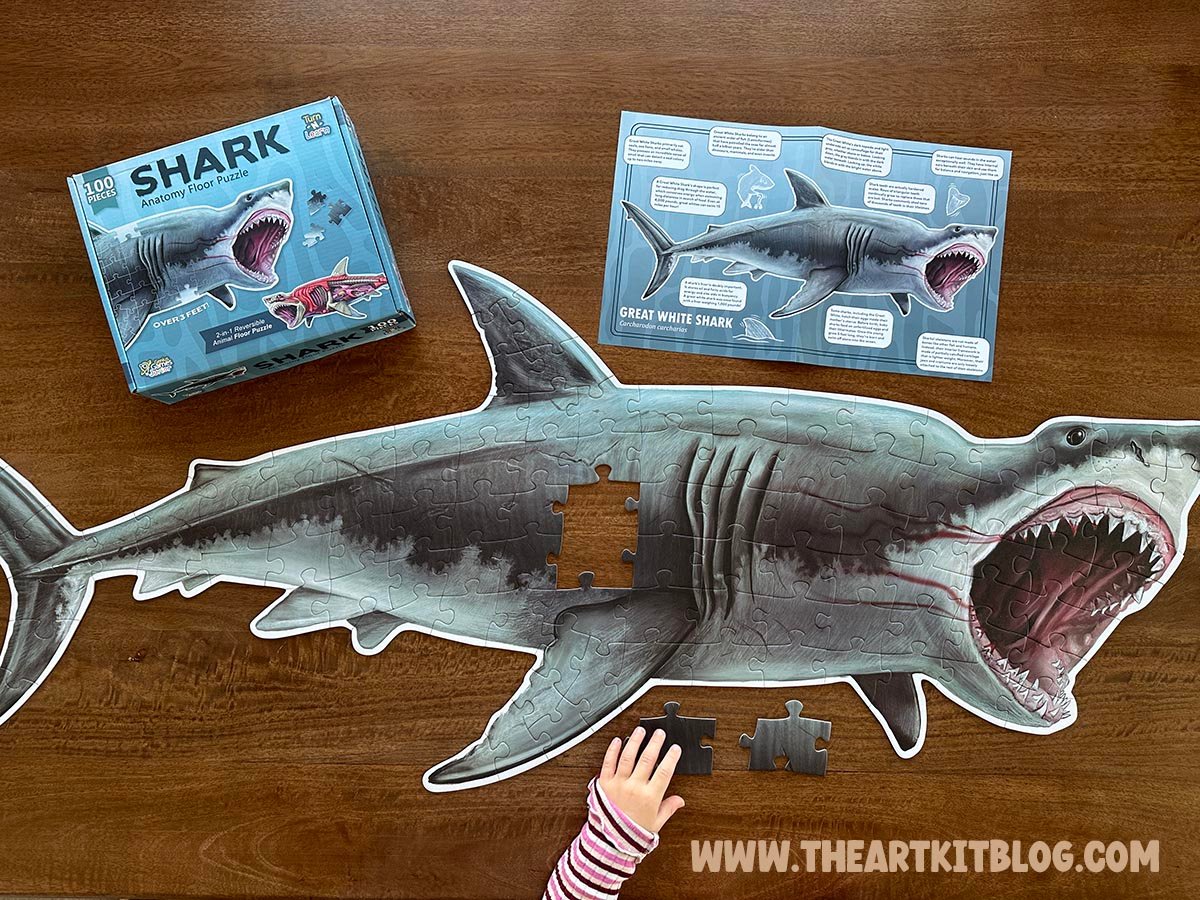 Great White Shark Anatomy Double-Sided Floor Puzzle for Kids: Review ...