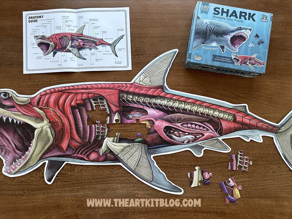 Great White Shark Anatomy Double-Sided Floor Puzzle for Kids: Review ...