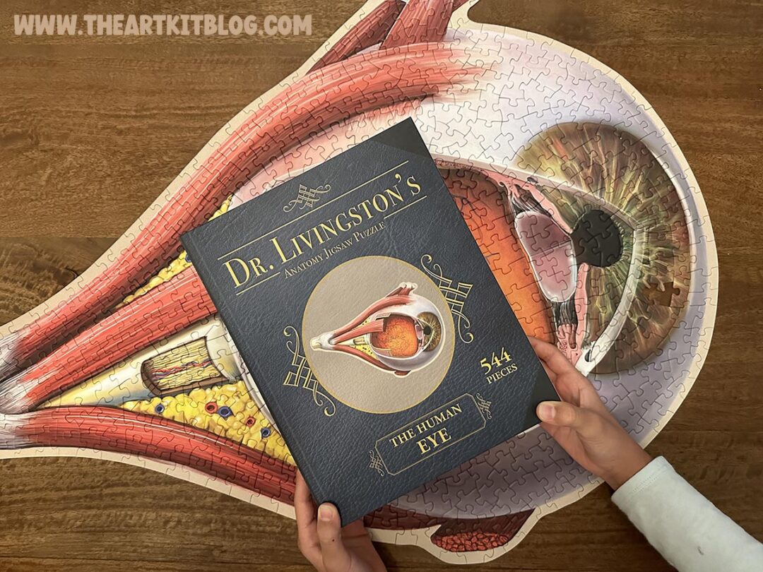The Human Heart Anatomy Jigsaw Puzzle: Review! - The Art Kit