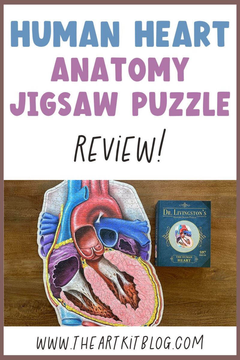 The Human Heart Anatomy Jigsaw Puzzle: Review! - The Art Kit
