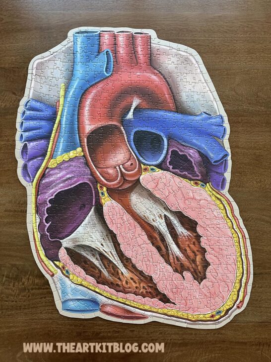 The Human Heart Anatomy Jigsaw Puzzle: Review! - The Art Kit