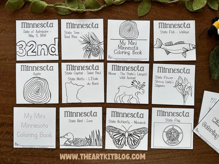Mini Minnesota 50 States Coloring Pages {FREE Printable!} - The Art Kit