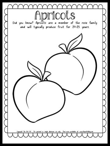 National Apricot Day: FREE PRINTABLE Coloring Page with Fun Fact! - The ...