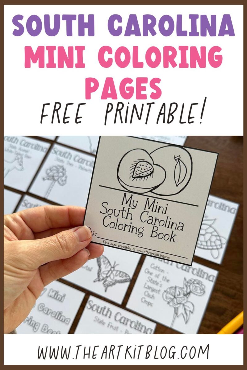 South Carolina Mini Coloring Pages USA 50 States {FREE Printable ...