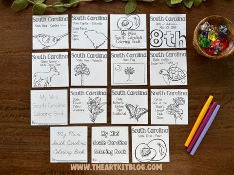 South Carolina Mini Coloring Pages USA 50 States {FREE Printable ...