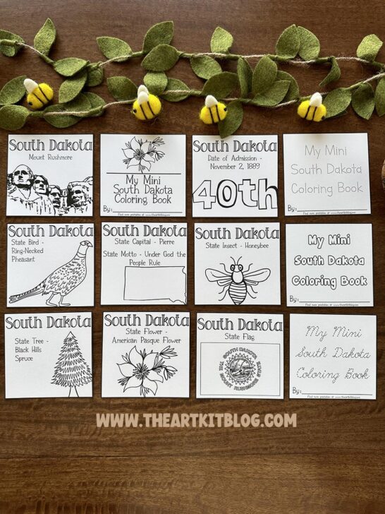 South Dakota Mini Coloring Pages USA 50 States {FREE Printable!} - The ...