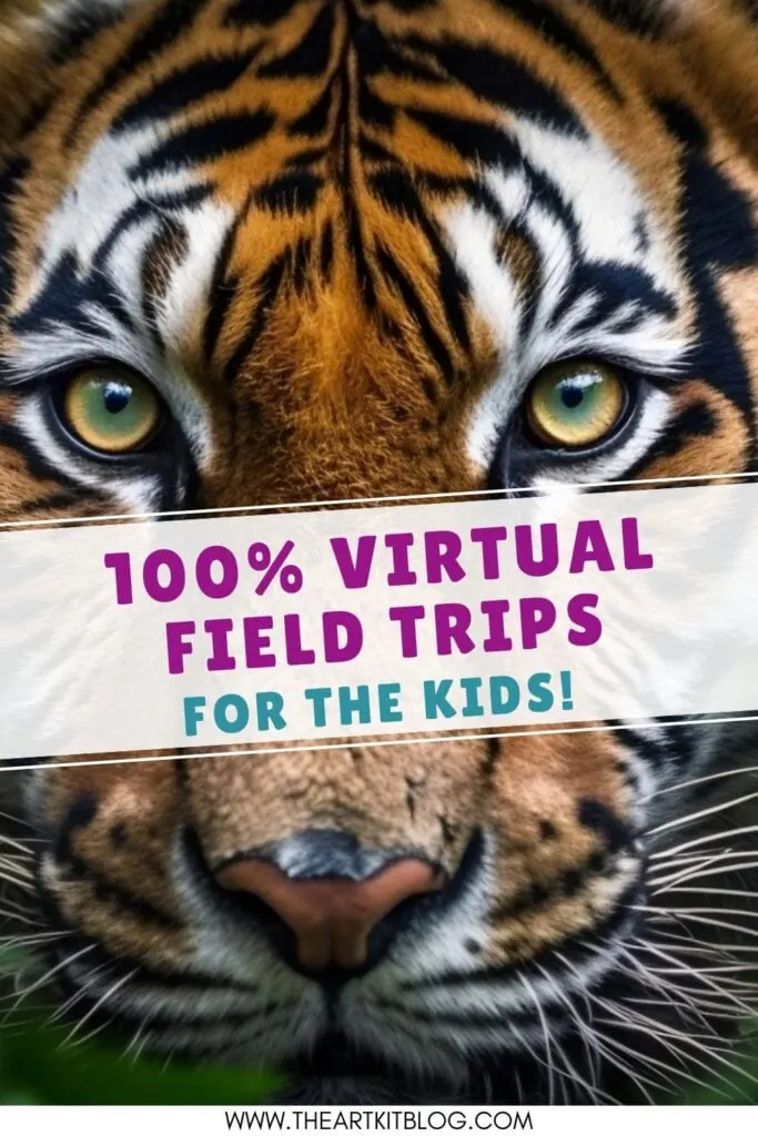 Virtual Field Trips - The Art Kit