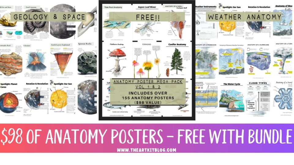 12 Weeks of Spring BUNDLE + Limited-time FREEBIES! - The Art Kit