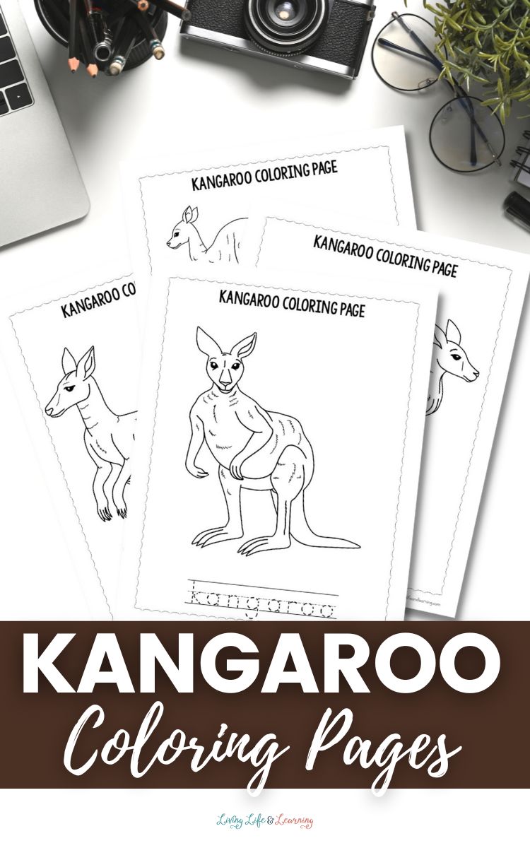 Zoo Crafts, Activities, and FREE Printables for Kids! - The Art Kit