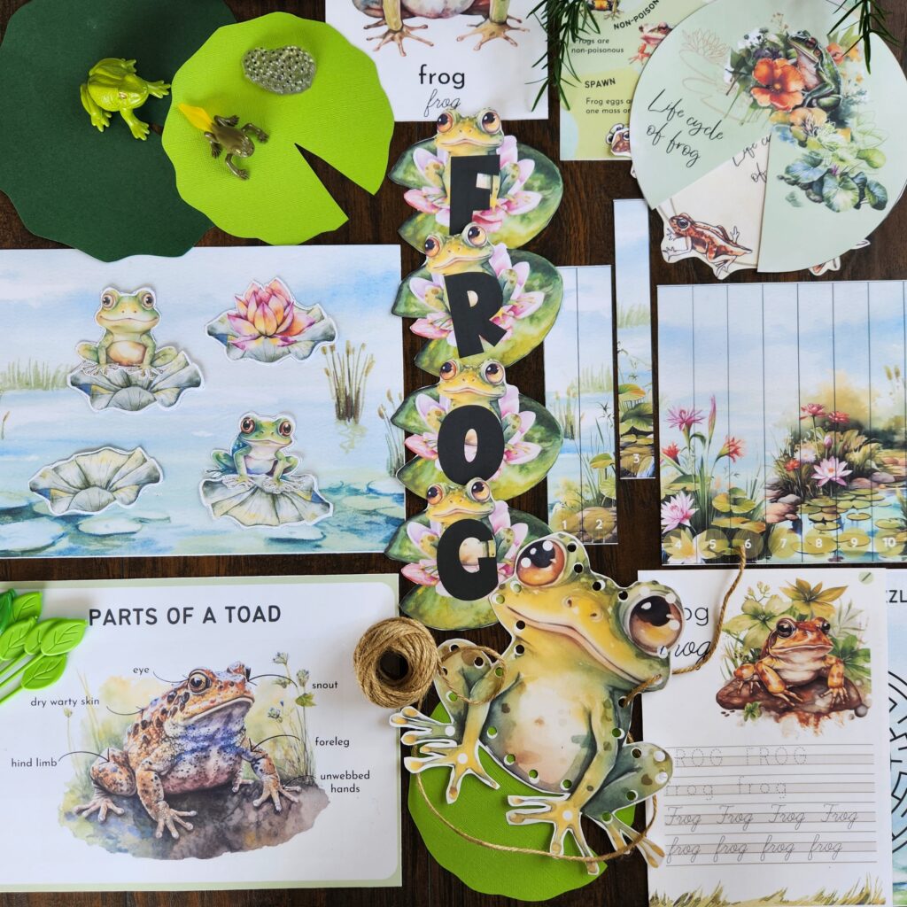 Frog Square - The Art Kit
