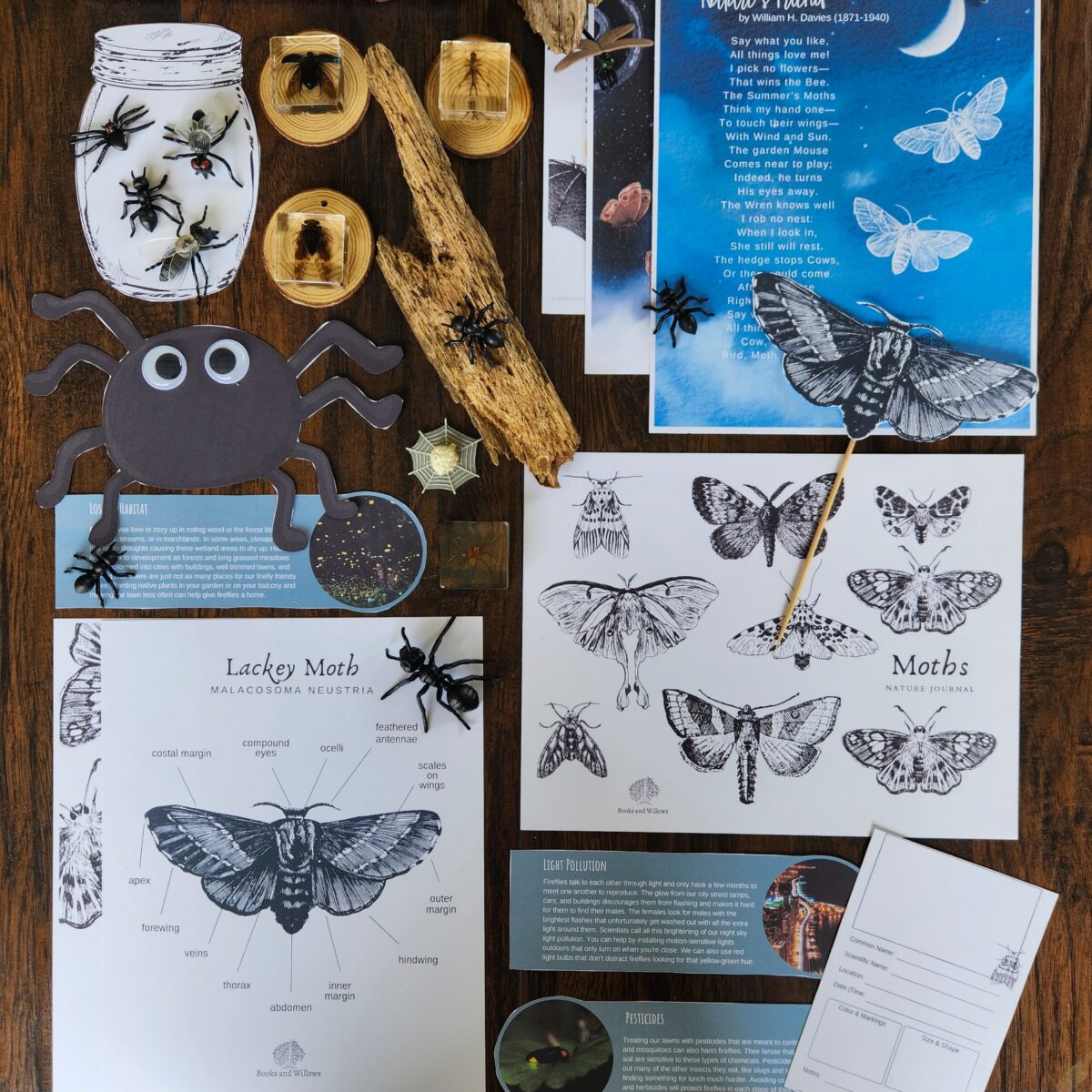 Minibeasts Square - The Art Kit