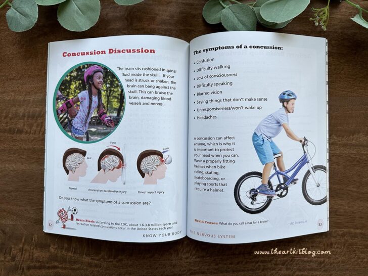 Know Your Body: Part 1! Book Review - The Art Kit