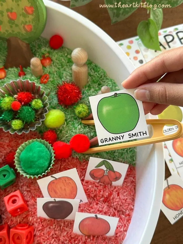 How to Make a Fun and Educational Apple-Themed Rice Sensory Bin for ...