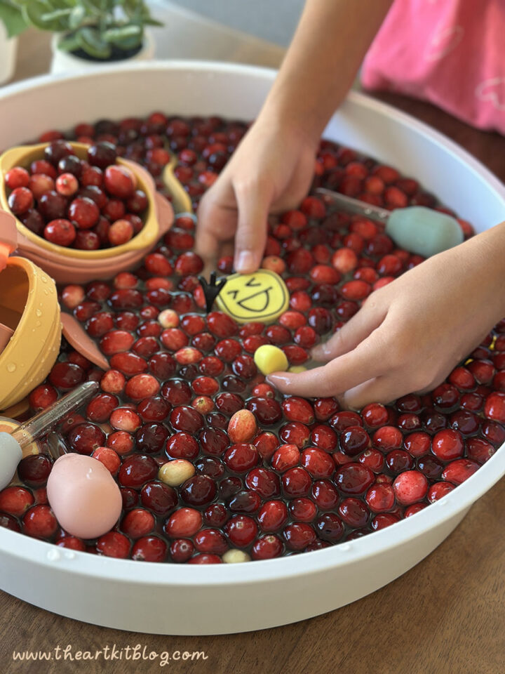 How to Make a Holiday Cranberry Sensory Bin for Kids - The Art Kit