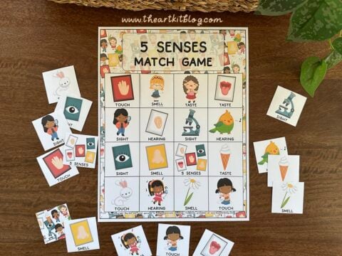 Five Senses Match Game: FREE PRINTABLE! - The Art Kit