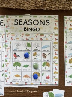 Seasons Bingo: Free Printable Game - The Art Kit