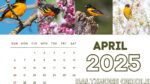 Limited Time FREEBIE: 2025 Bird of the Month Wall Calendars - The Art Kit